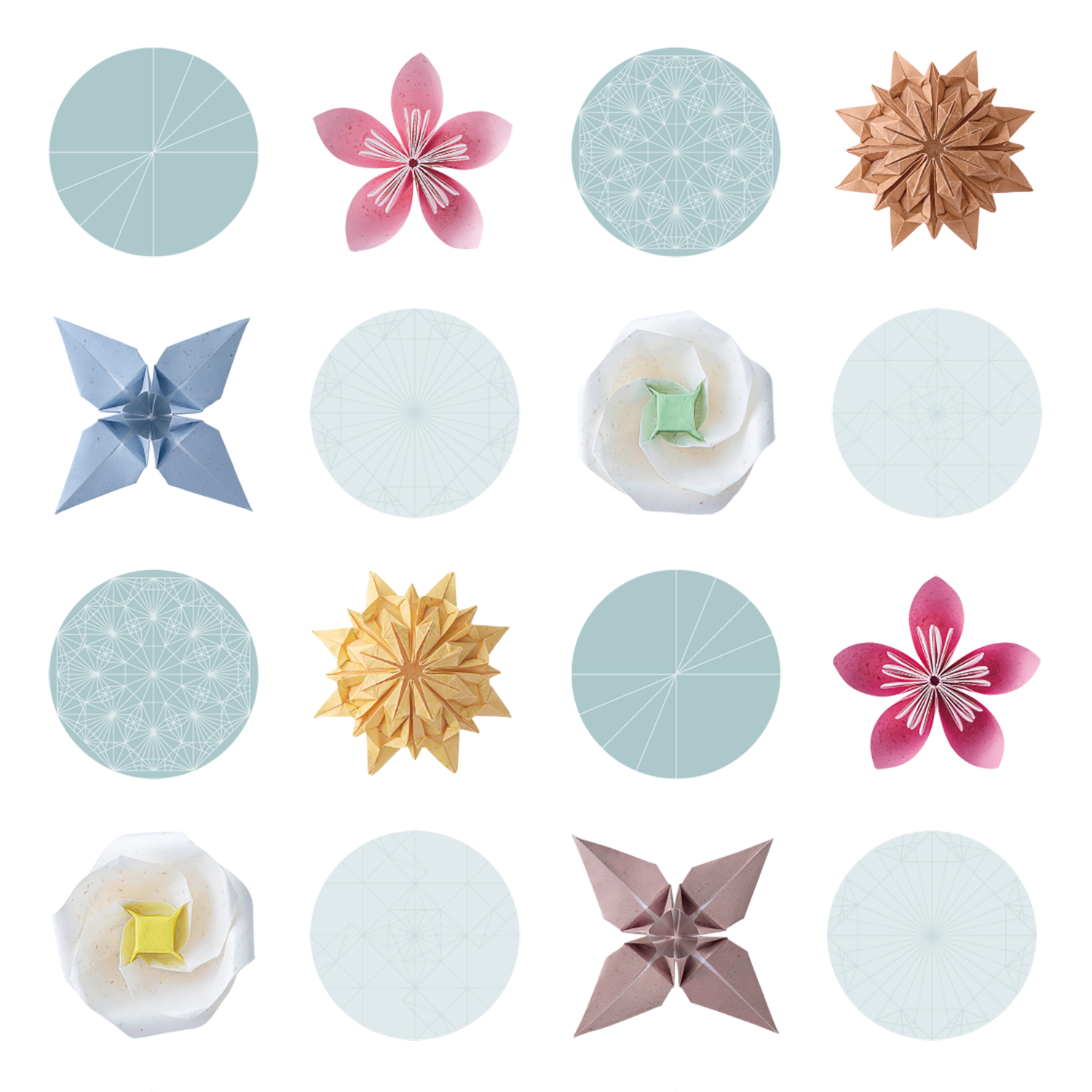 Menicon Corporate Website